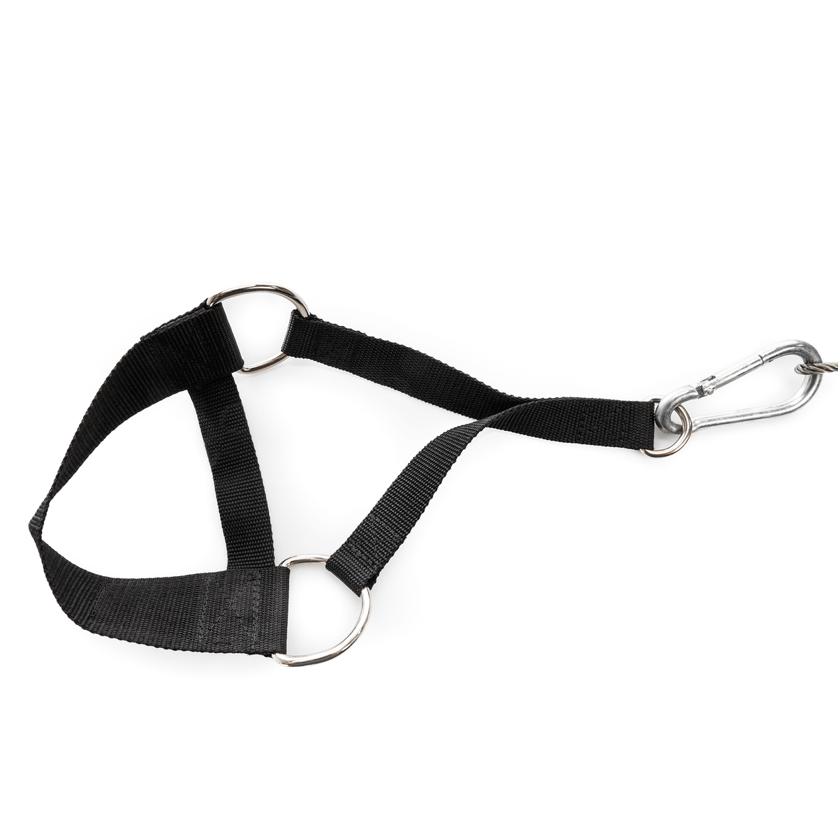 BC Strength Foot Strap