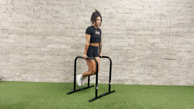 BC Strength Parallel Bars